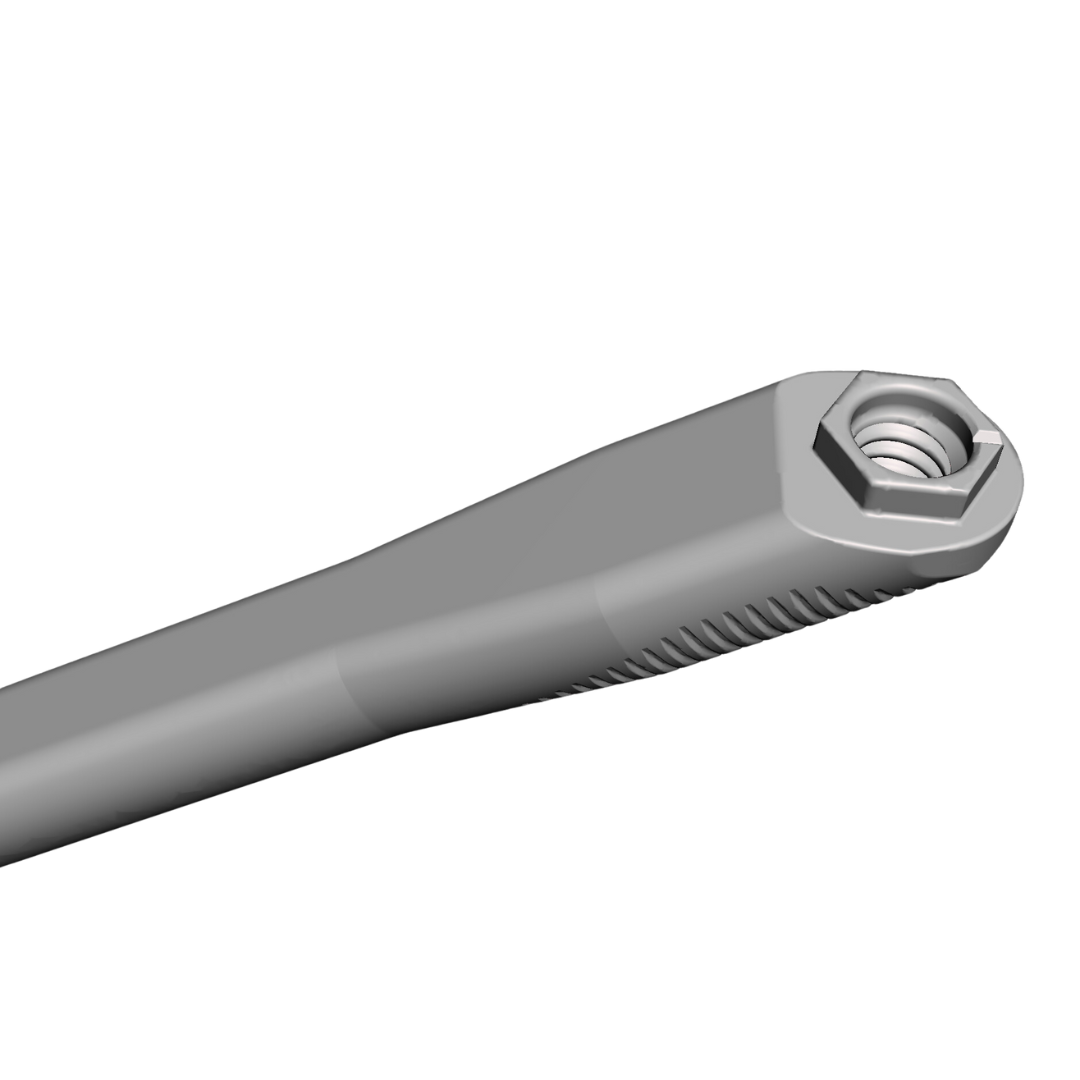 The ZAGA Straumann Zygomatic Implants Explained